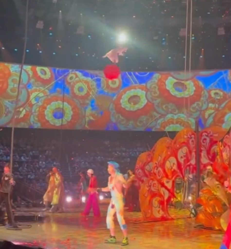 Les 3 enfants de Véronique Cloutier partent en voyage et publient les ...