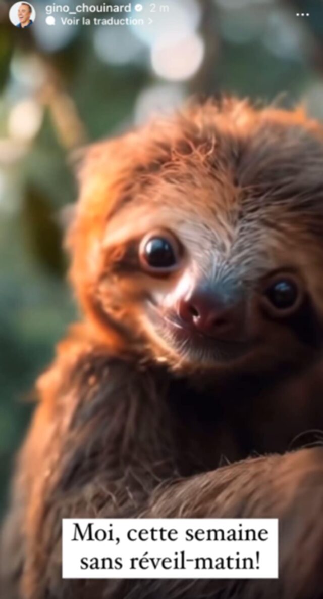 Gino Chouinard montre sa nouvelle réalité sans cadran pour Salut Bonjour - Vedette Québec