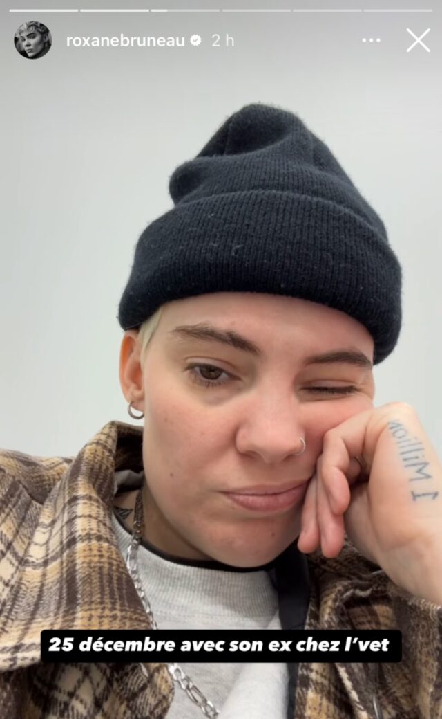 La journée de Noël de Roxane Bruneau ne se passe pas comme prévu - Vedette Québec