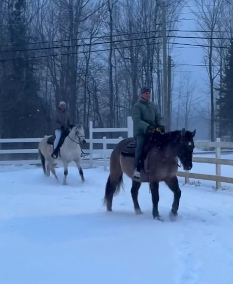 Pier-Luc Funk a passé le Nouvel An très bien accompagné - Vedette Québec