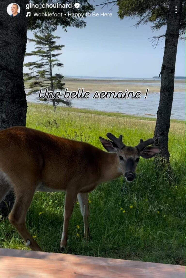 Gino Chouinard partage toutes les images de son plus récent voyage ...