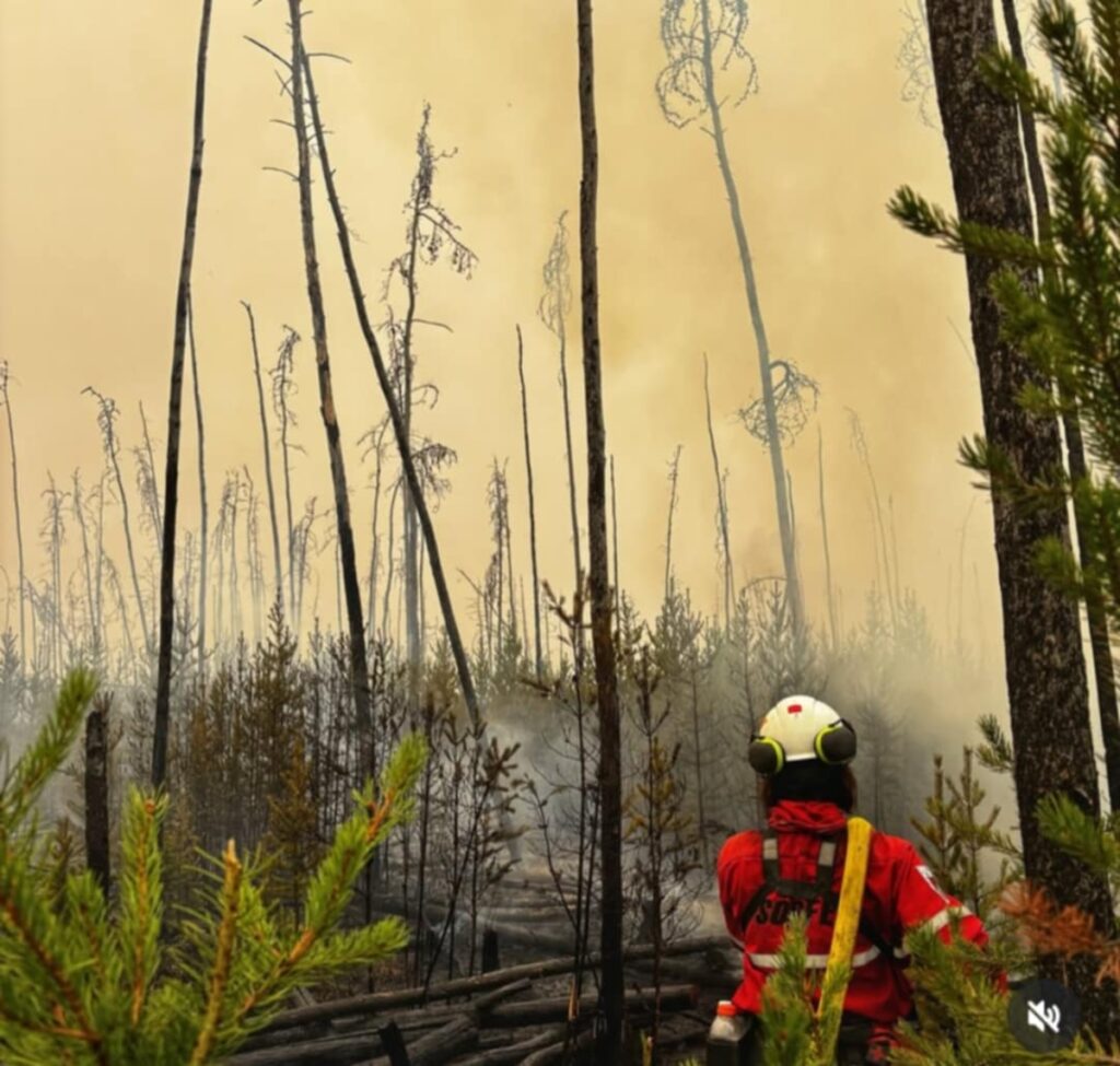 Découvrez 11 photos du comédien Patrice Godin dans son travail de ...