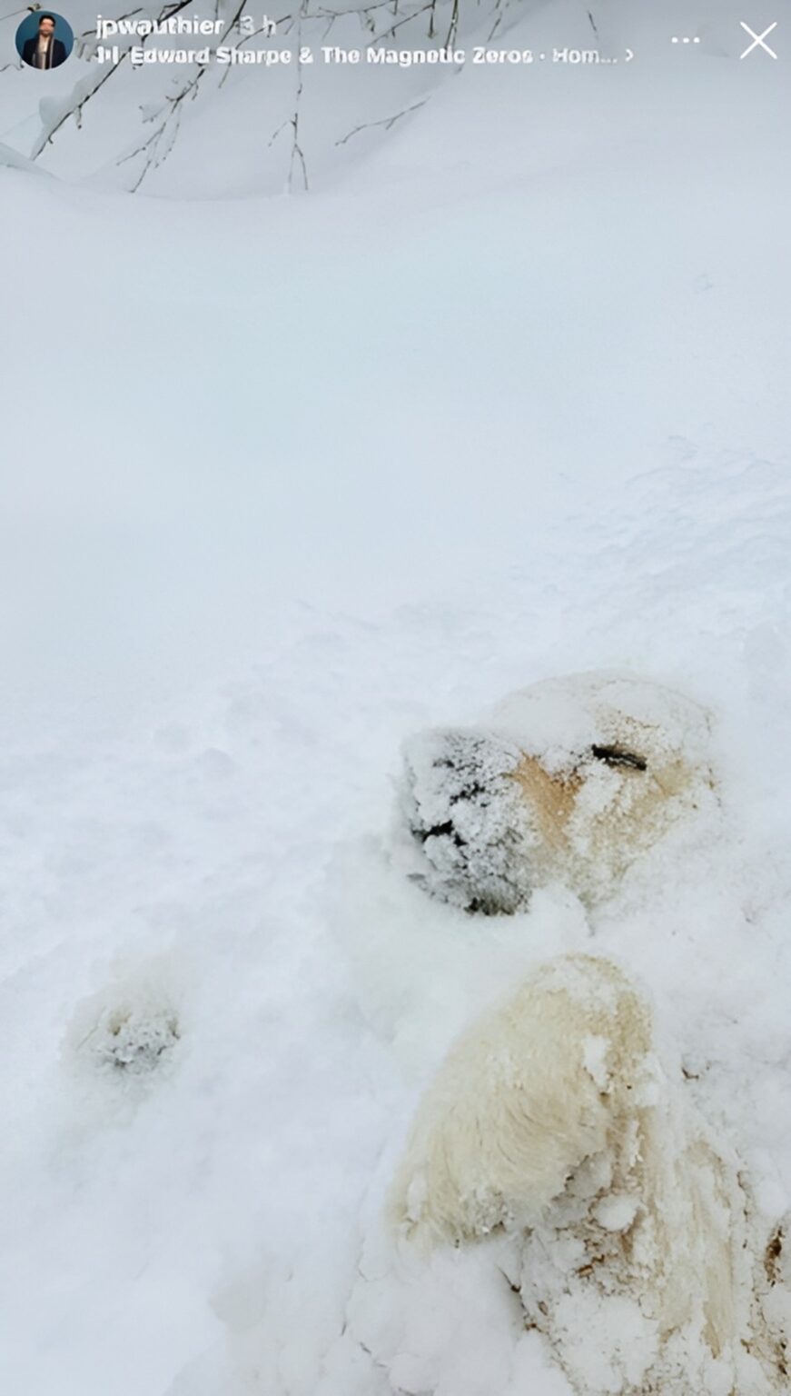 Jean-Philippe Wauthier fait sa première publication depuis sa pause professionnelle - Vedette Québec